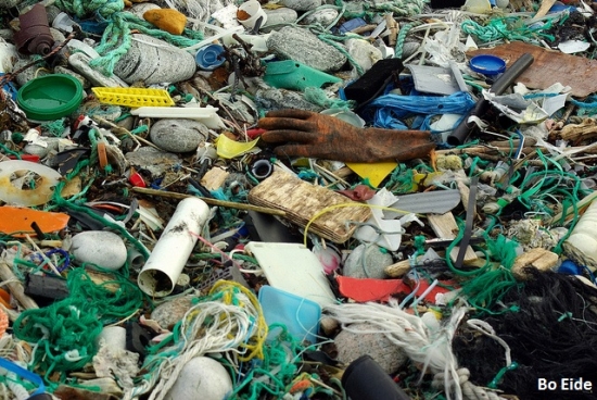 The macro-problem of microplastics | Royal Society of Biology blog The macro-problem of microplastics | Royal Society of Biology blog